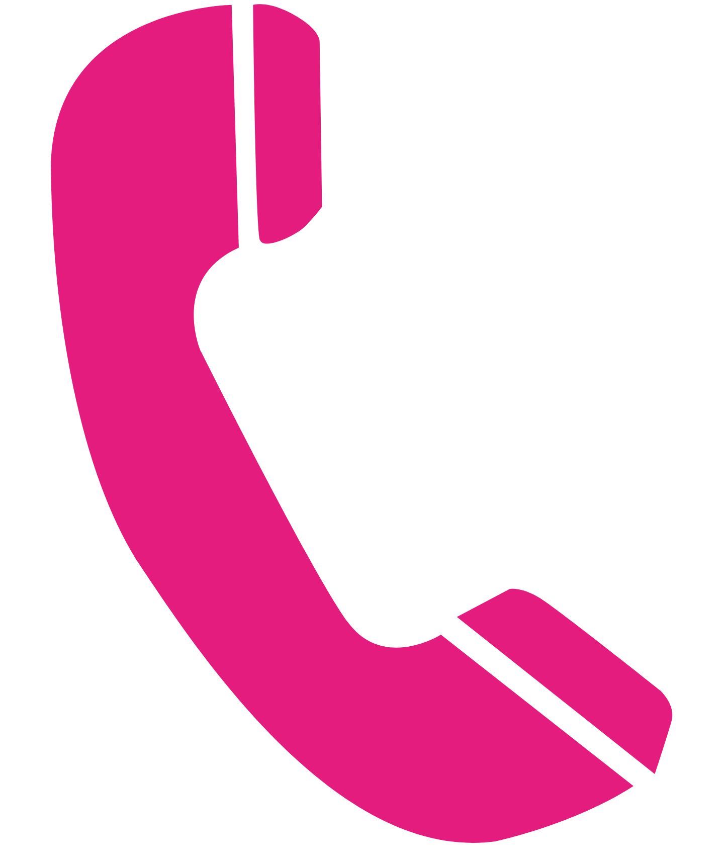 Online Birds | Hotel Online Marketing