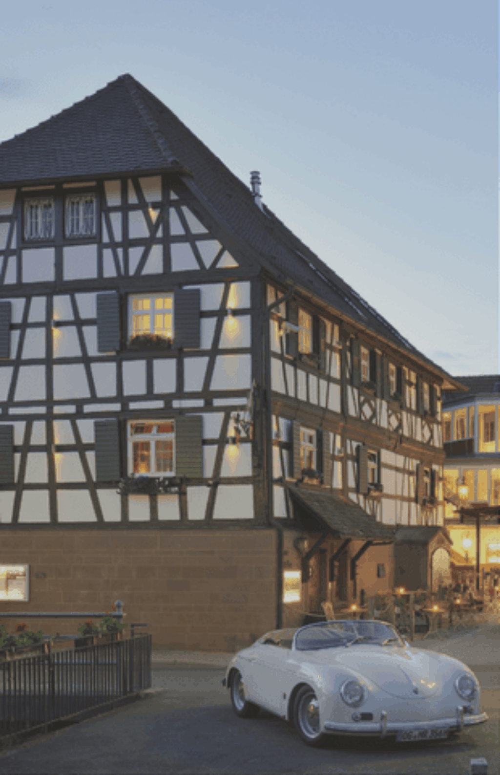 Online Birds | Hotel Online Marketing