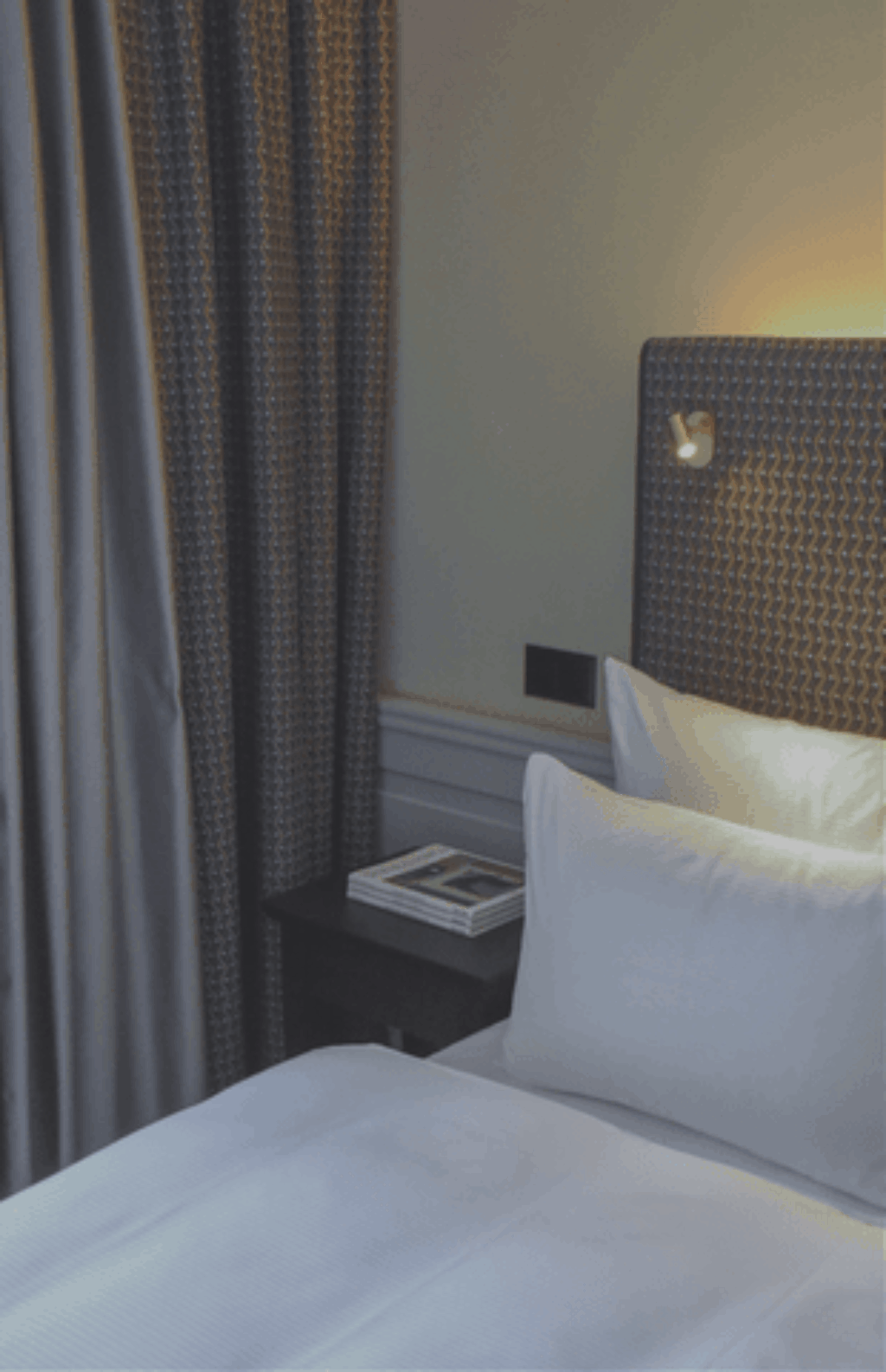 Online Birds | Hotel Online Marketing