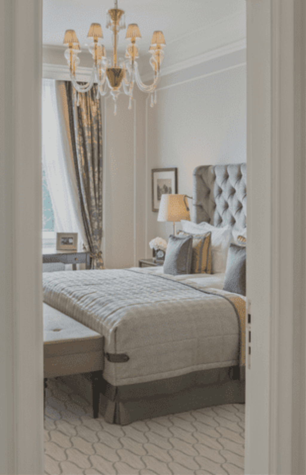 ÖHV Kongress 2026 in Linz | Online Birds