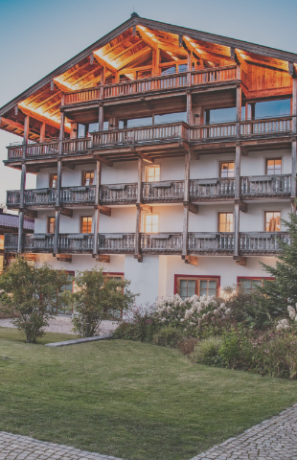 Online Birds | Hotel Online Marketing